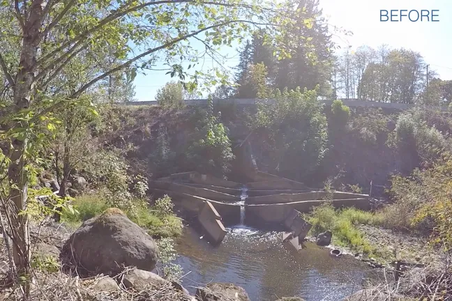 Road Engineering oversees installation of fish-friendly culvert under ...